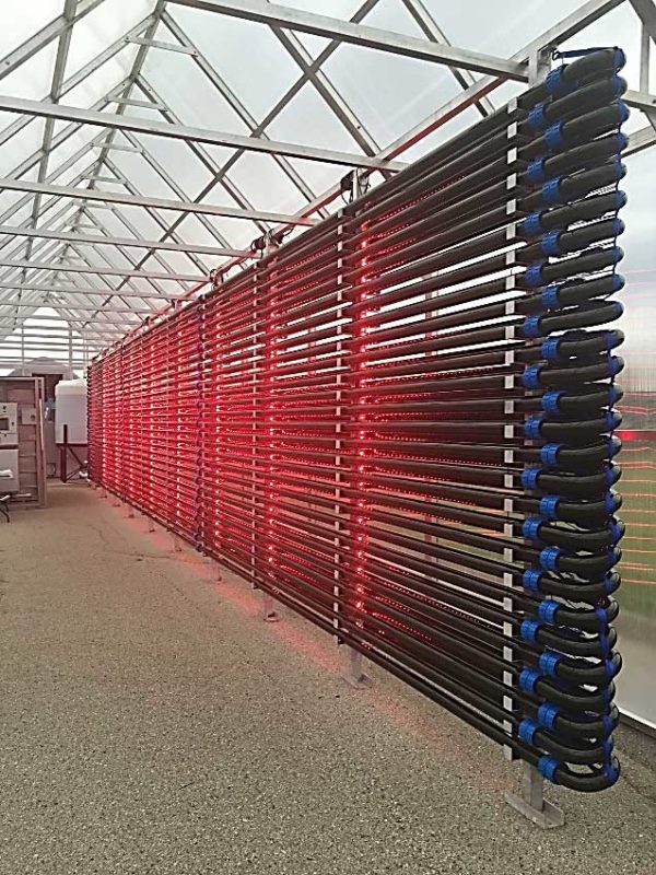 Clearas’ Advanced Algae Filtration Technology Produces Unprecedented ...