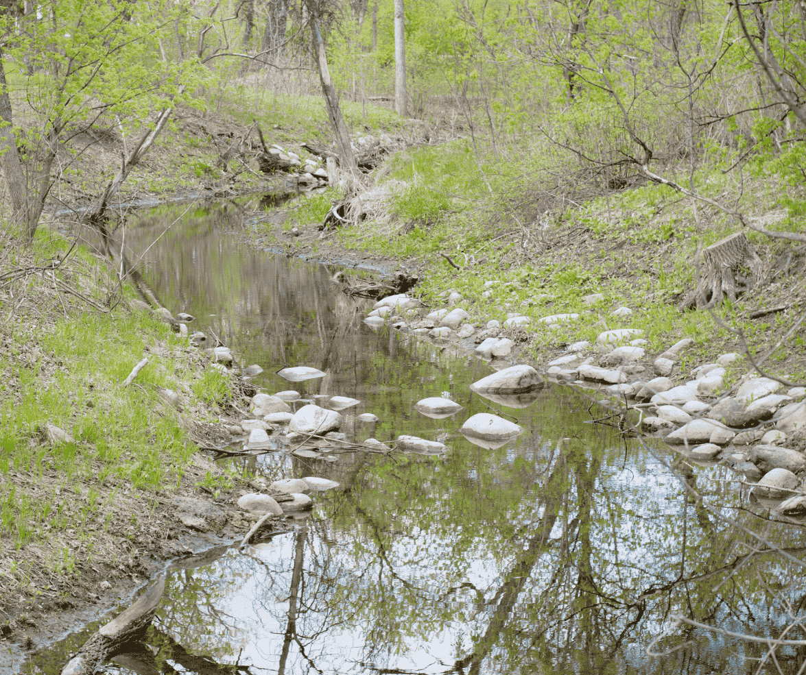 Streambank Restoration » Fox-Wolf Watershed Alliance